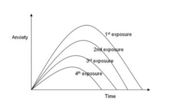 How to Tell If You’re Making Progress in Therapy - Next Step 2 Mental ...